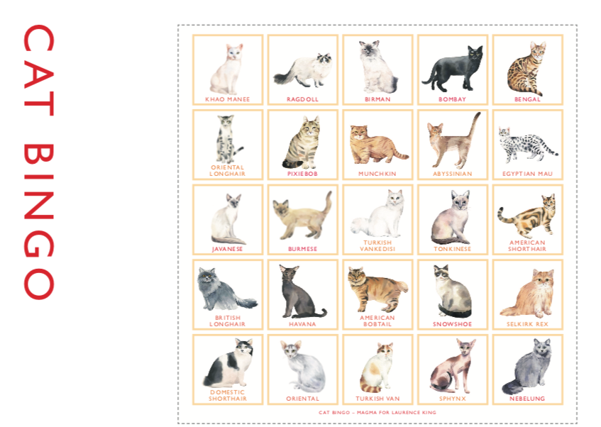 Cat Bingo – KidzyWudzy LLC.